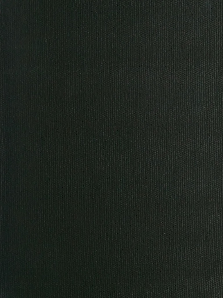 1905 - The Jewish Spectre | PDF | Adam | Garden Of Eden