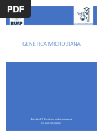 EMBOSS Needle - Alignment 4 | PDF