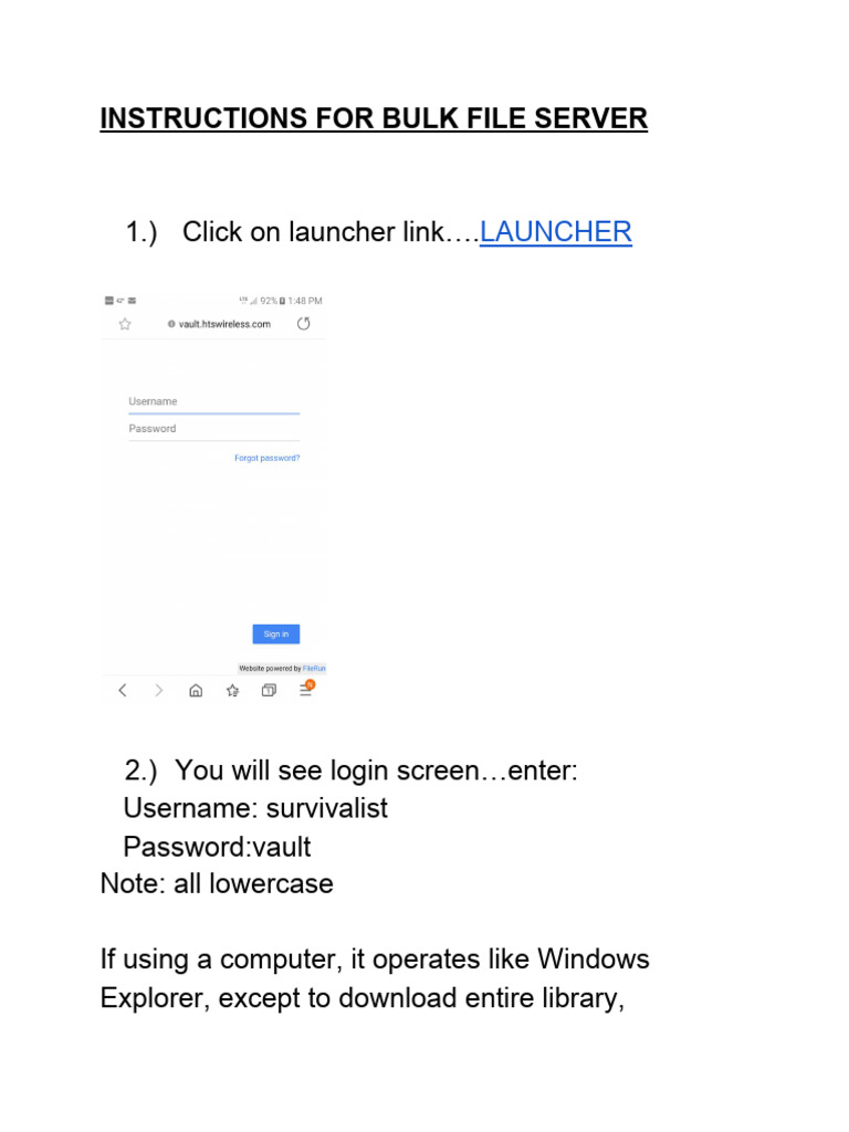 Bulk File Launcher Instructions | PDF
