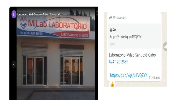 Mi Lab Sanjo | PDF