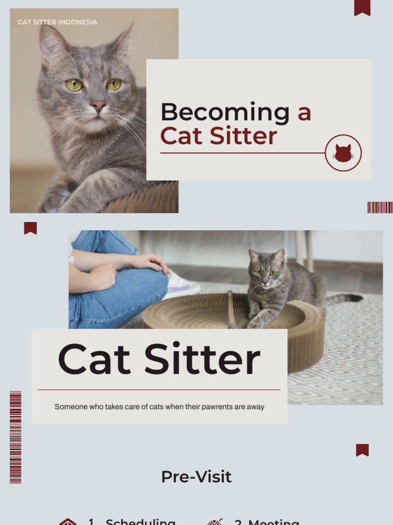 Becoming A Cat Sitter | PDF