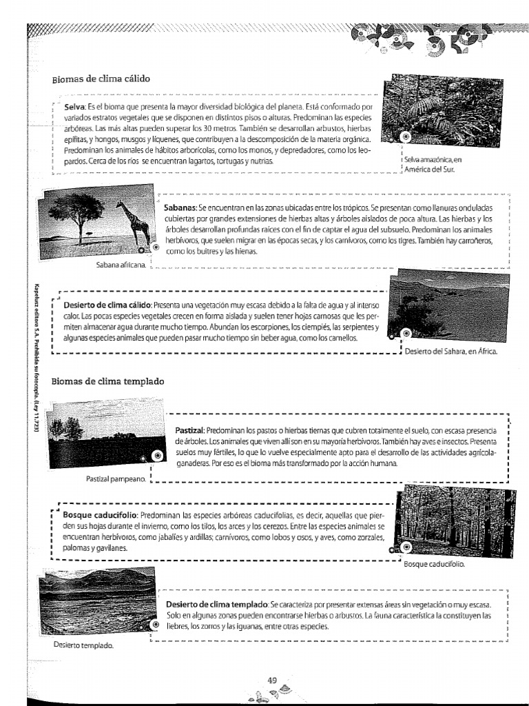 1 Cs Tinta Fresca Mandioca Bloque 3 | PDF