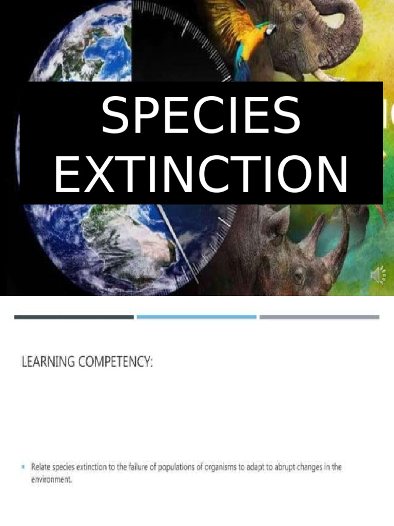 Extinction Week 6 | PDF
