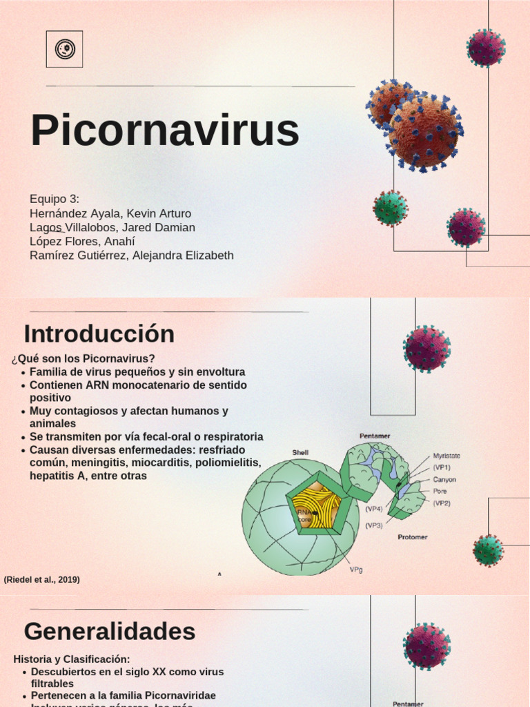Picornavirus: Enfermedades y Patogenia | PDF | Sistema inmune | Virus
