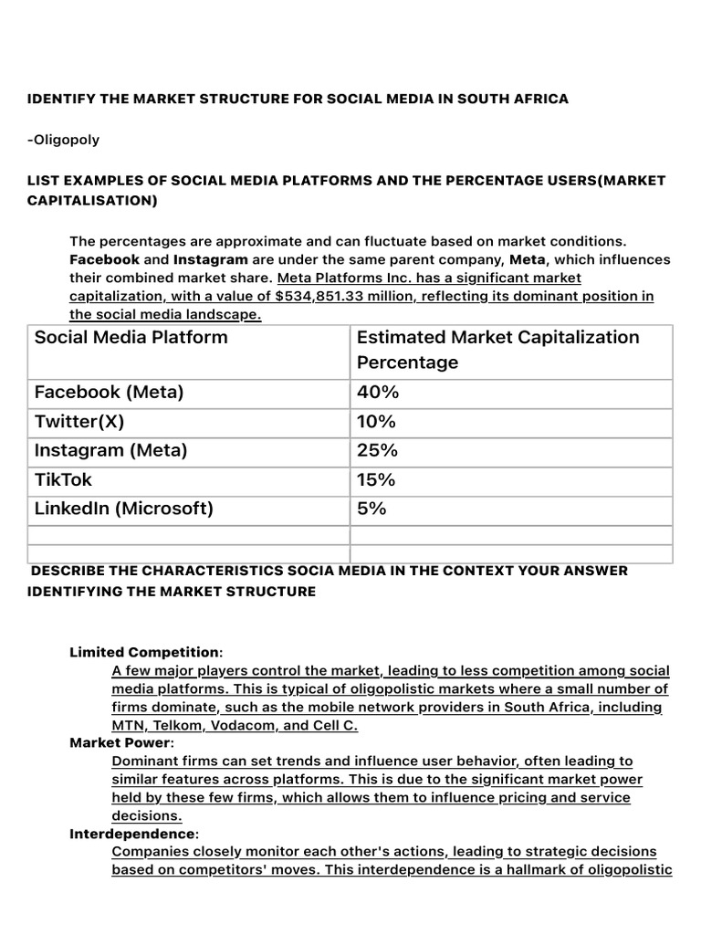 Social Media Market Structure in South Africa | PDF | Social Media ...