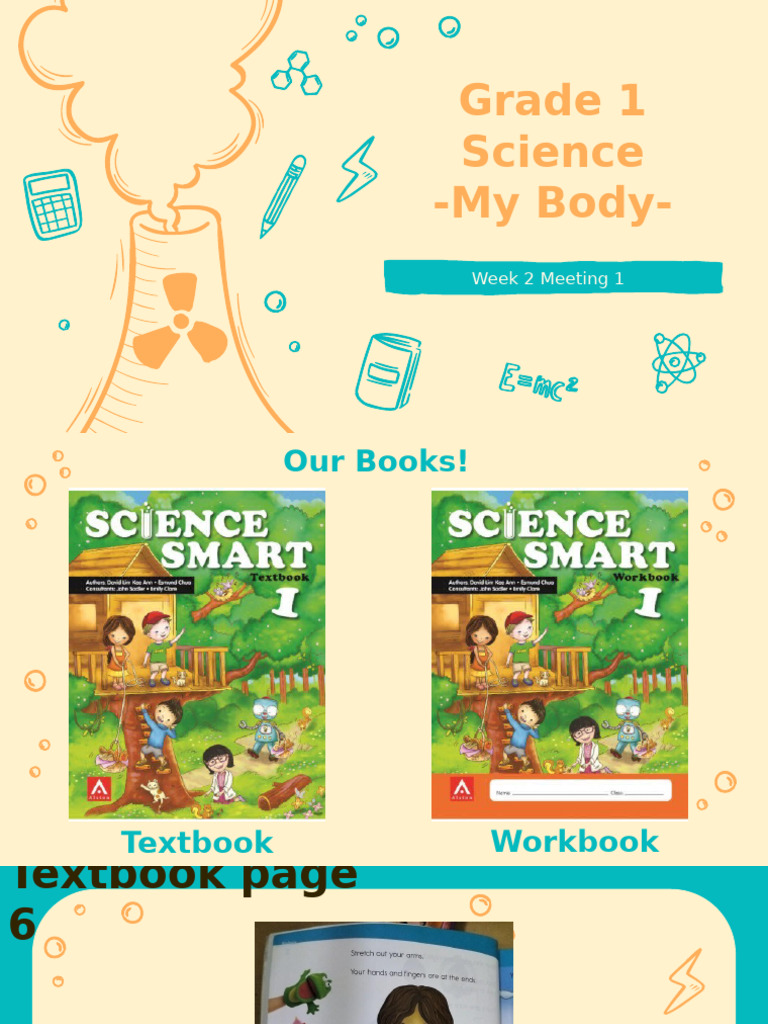 Grade 1 Science: My Body Week 2 | PDF