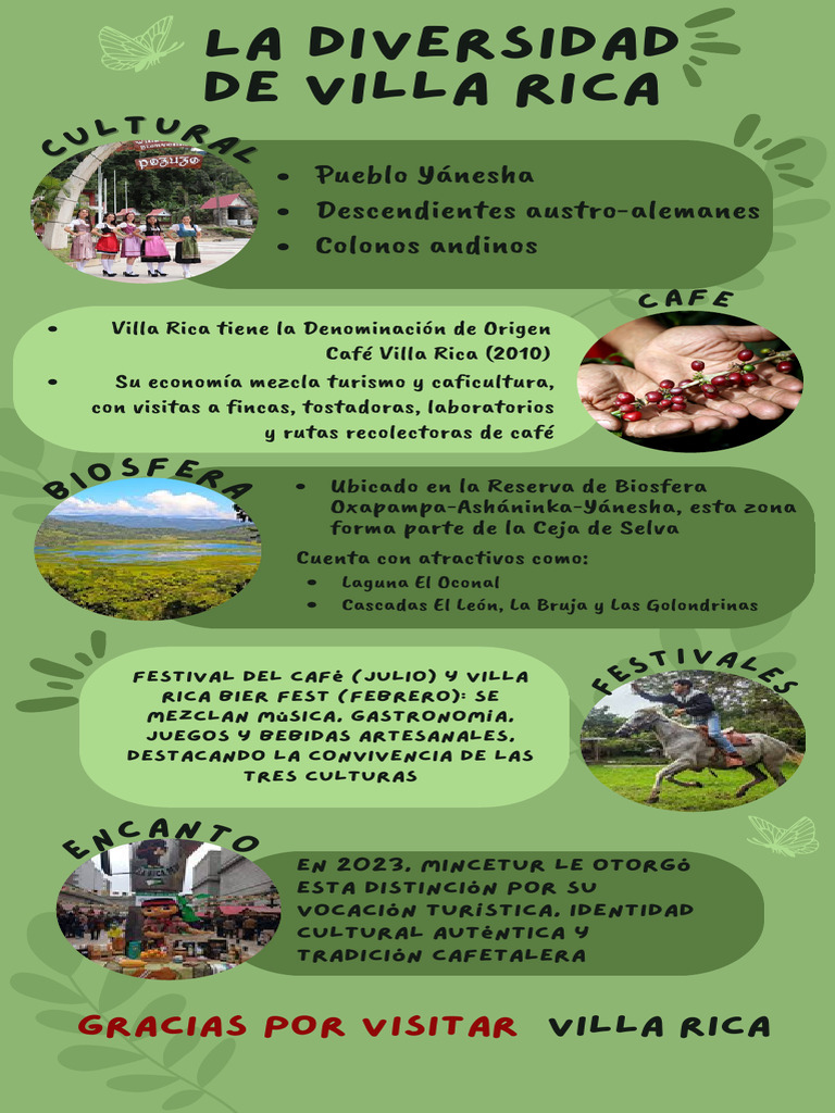 La Diversidad de Villa Rica | PDF