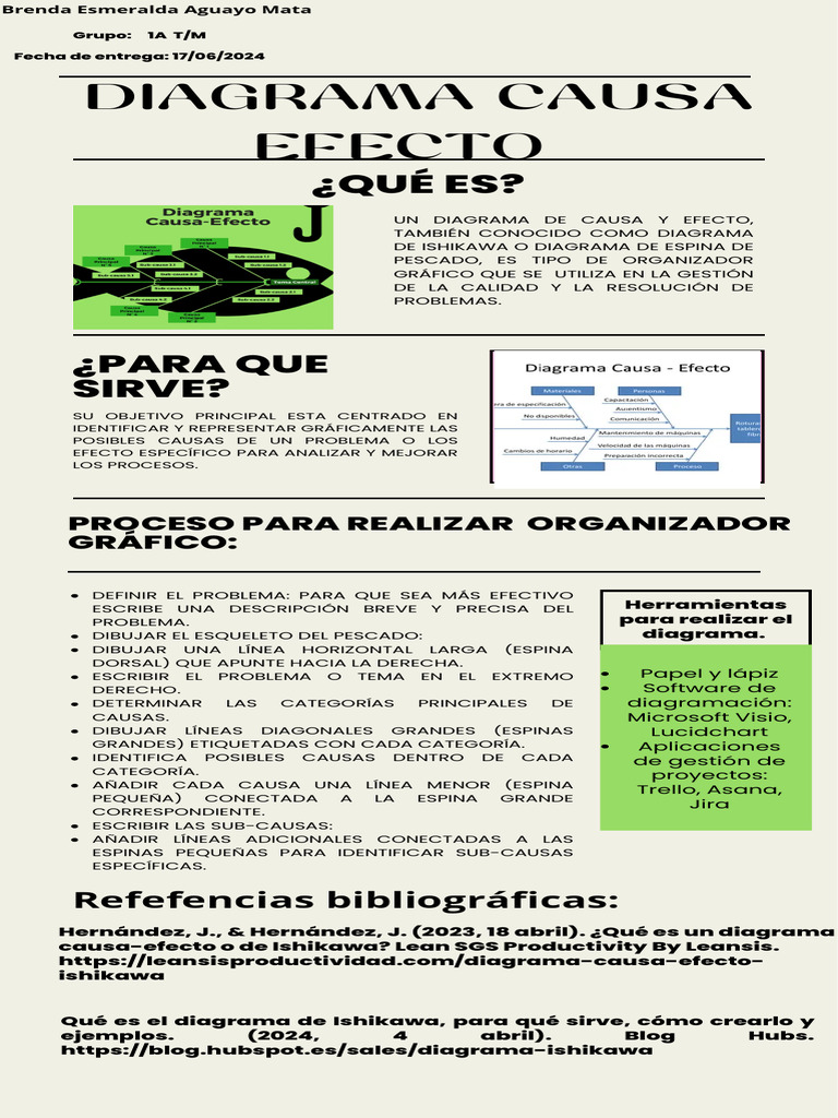Diagrama de Causa y Efecto: Guía Práctica | PDF | Informática