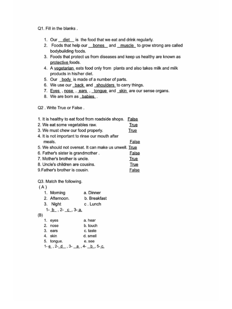 UT 1 Revision EVS | PDF