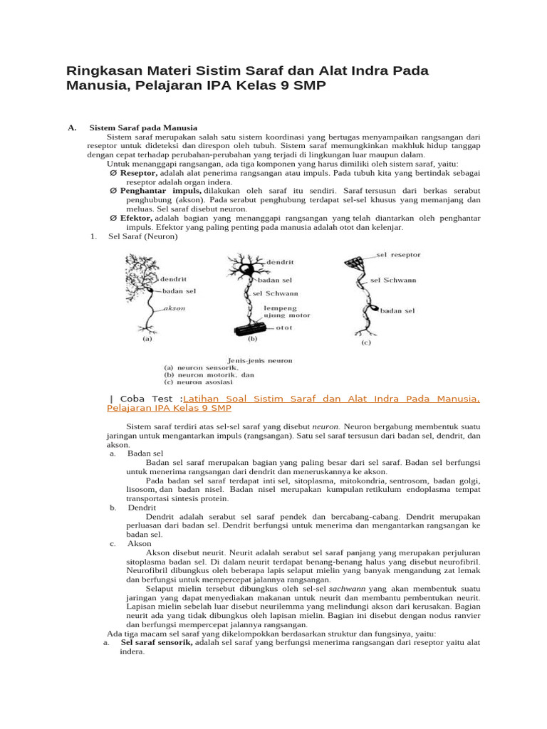Sistem Saraf dan Indra Manusia Kelas 9 | PDF