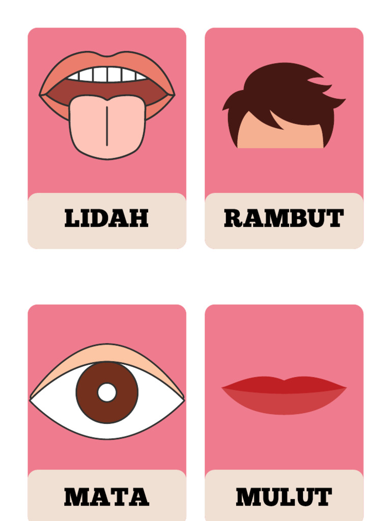 Kartu Baca Pink Krem Anggota Tubuh | PDF