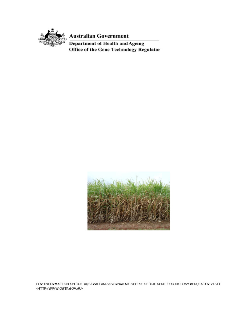 Biology of Sugarcane: Risk Assessment Guide | PDF | Sugarcane | Plant ...