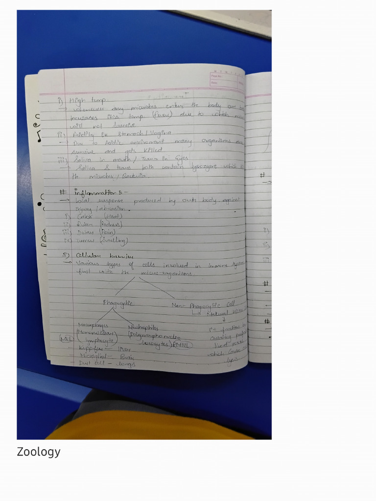 Zoology Notes | PDF