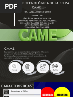 Análisis CAME - Matriz CAME (Plantilla Editable) | PDF | Análisis FODA ...