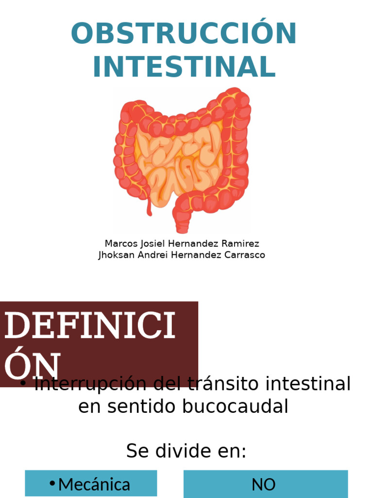 Obstruccion Intestinal | PDF | Abdomen | Enfermedades y trastornos