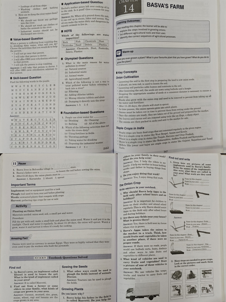 Evs Class 4 | PDF