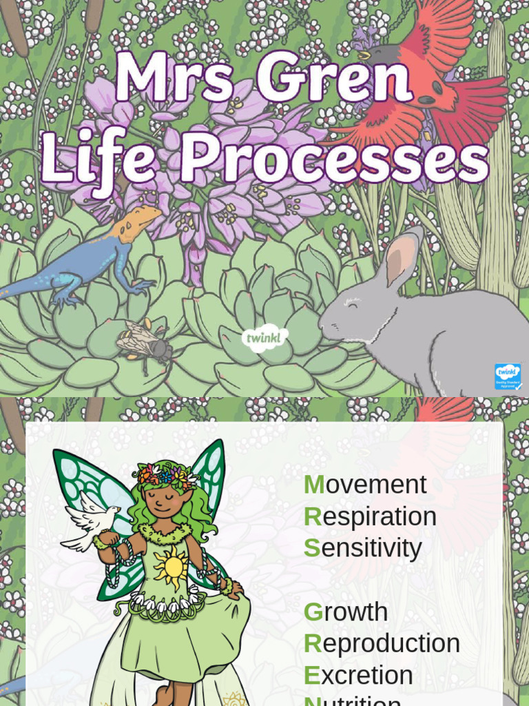MRS Gren | PDF