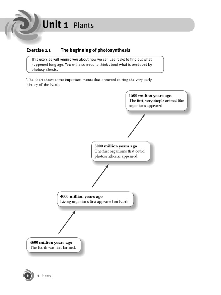 Y8 HomeWork 1 Aug 2024 | PDF