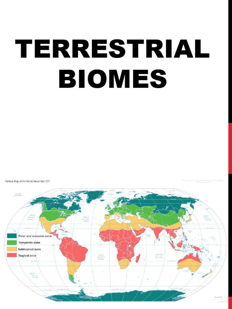 Overview of Global Terrestrial Biomes | PDF | Forests | Grassland