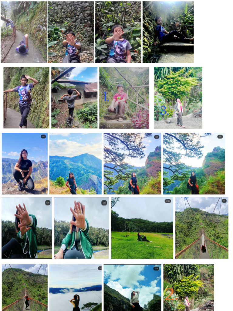 Mapeh Pics To Print | PDF