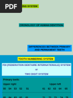 Teeth Numbering System | PDF | Dentistry | Dental Anatomy