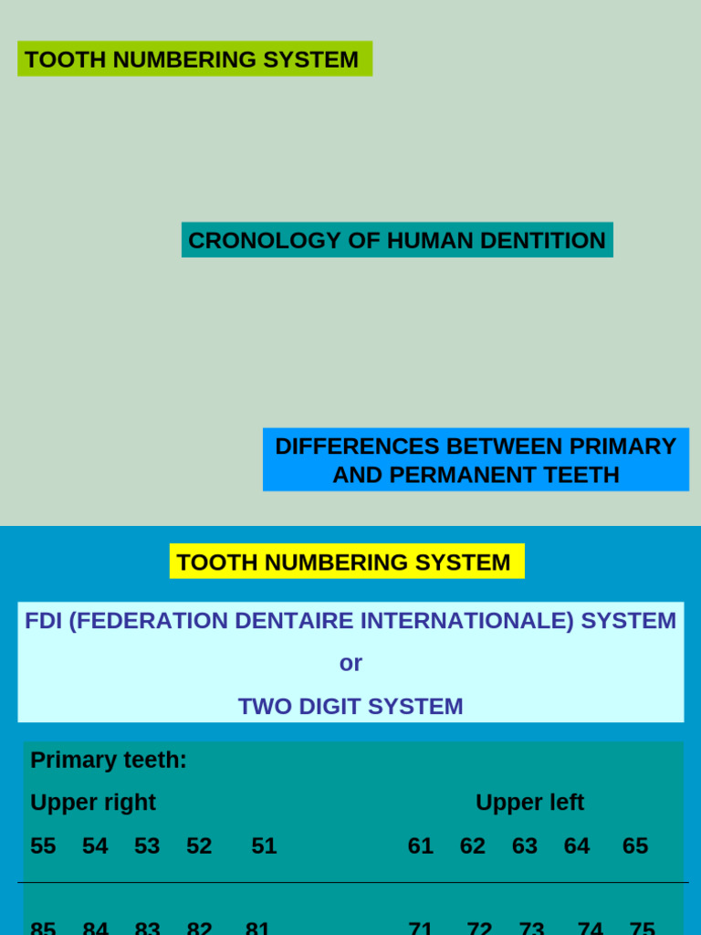 2.2chronology, Tooth Numbering Systems, Difference BN Primary A | PDF ...