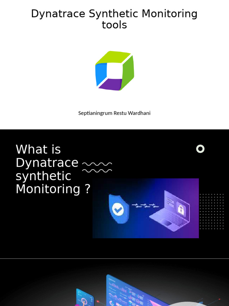 Synthetic Monitoring | PDF