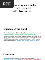 Thenar and Hypothenar Muscle Anatomy | PDF | Thumb | Hand