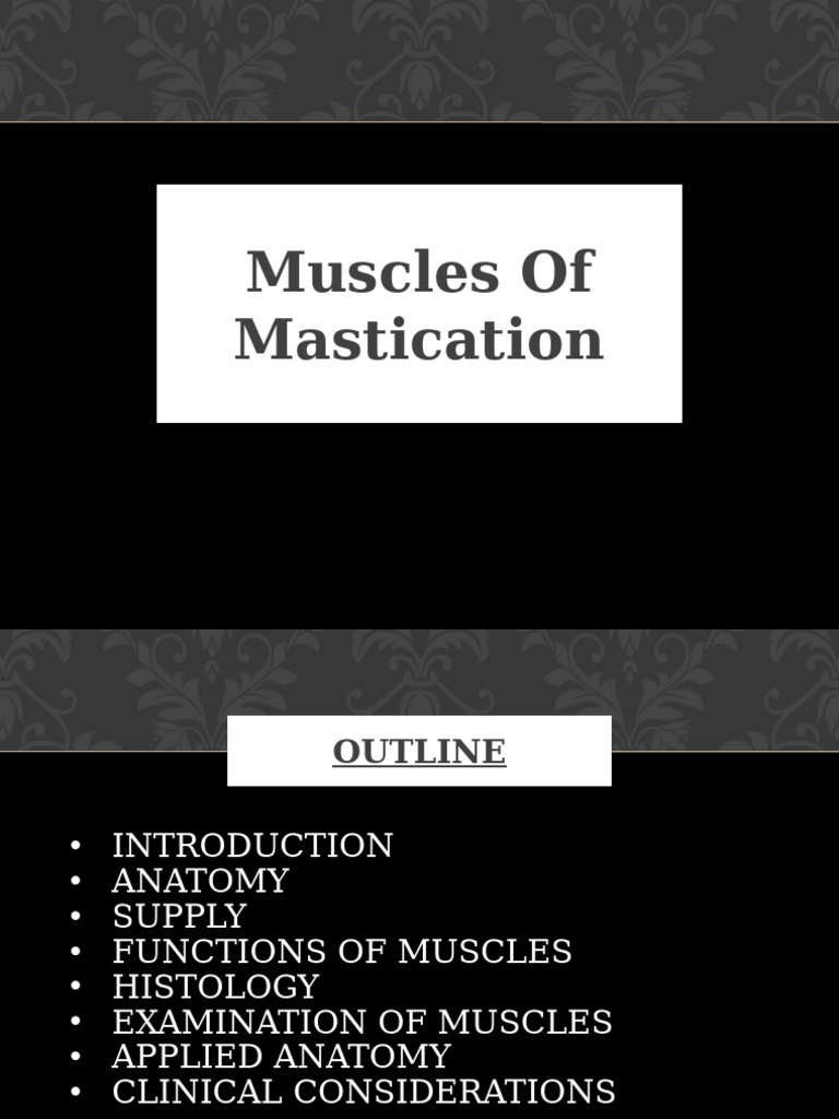Muscles of Mastication | PDF | Human Anatomy | Human Head And Neck