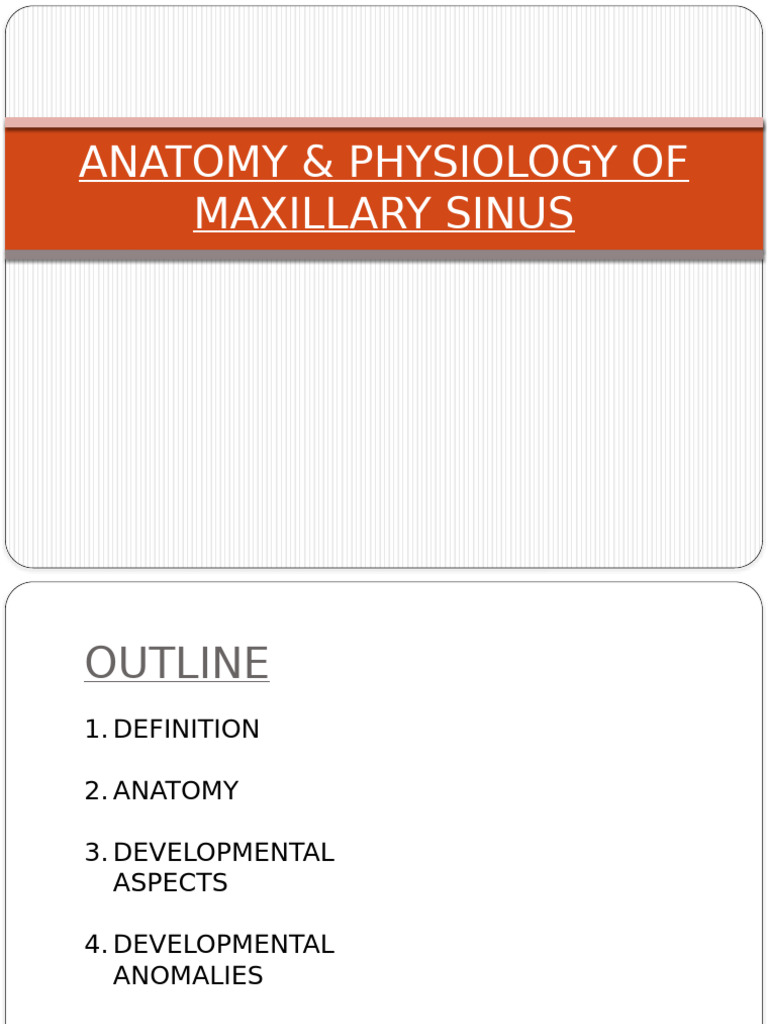 Anatomy & Physiology of Maxillary Sinus | PDF | Human Nose | Epithelium