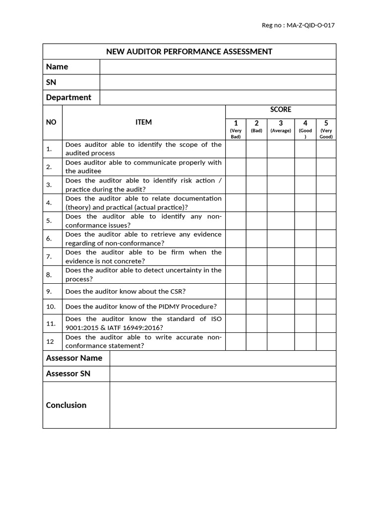 New Auditor Performance Assessment | PDF