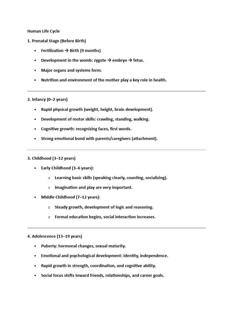 Stages of the Human Life Cycle | PDF