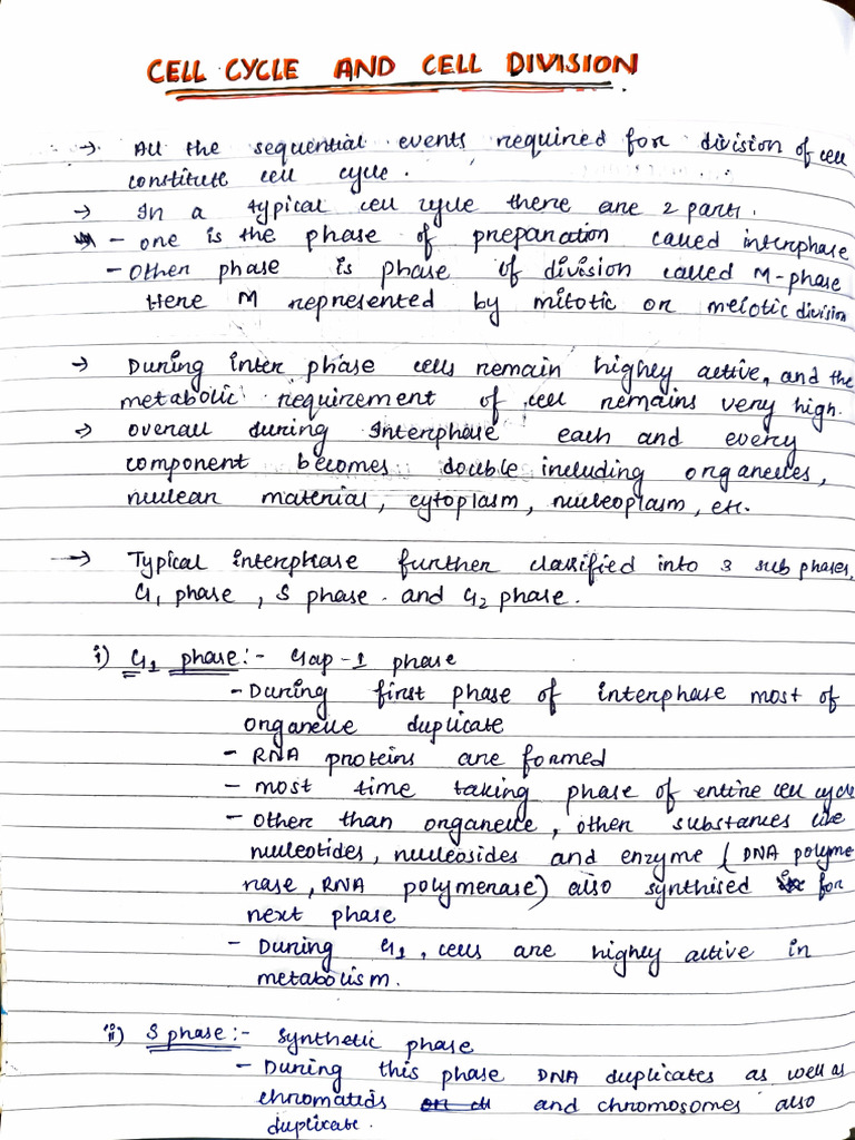 Cell Cycle and Division NOTES | PDF | Nucleic Acids | Dna