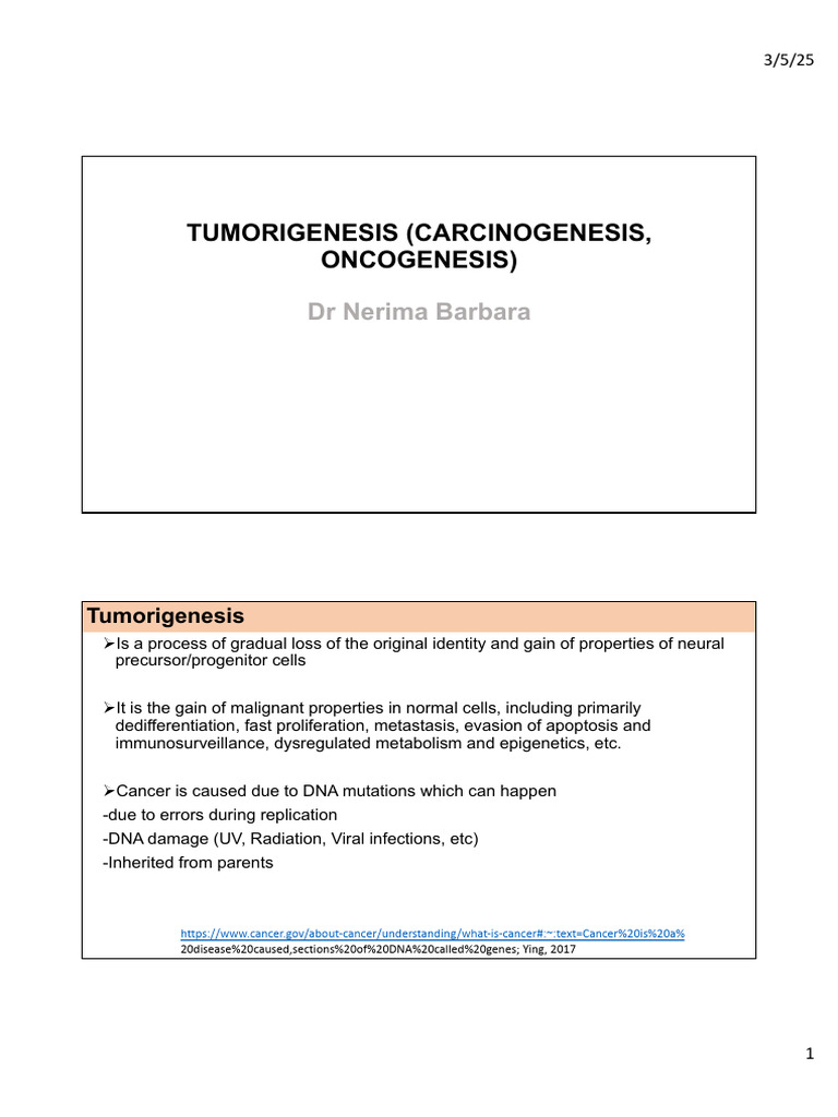 Understanding Tumorigenesis and Cancer | PDF | Carcinogenesis | P53