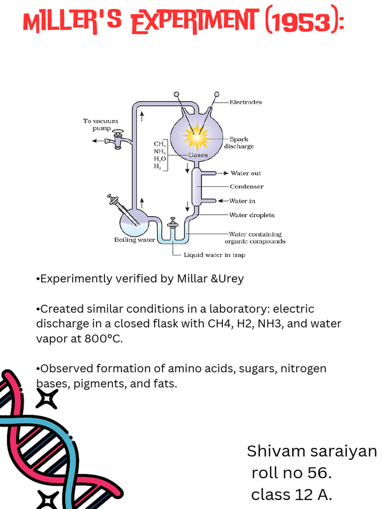 Miller-Urey Experiment Overview | PDF