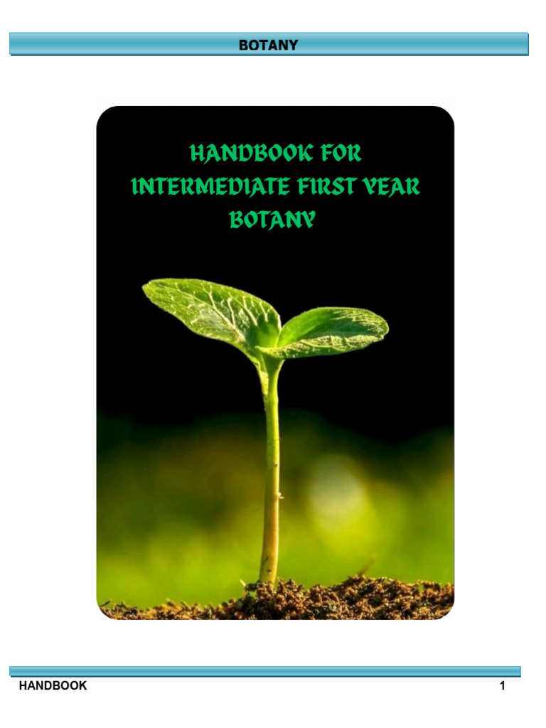 Botany Lecturer's Hand Book 2025 | PDF | Leaf | Stoma