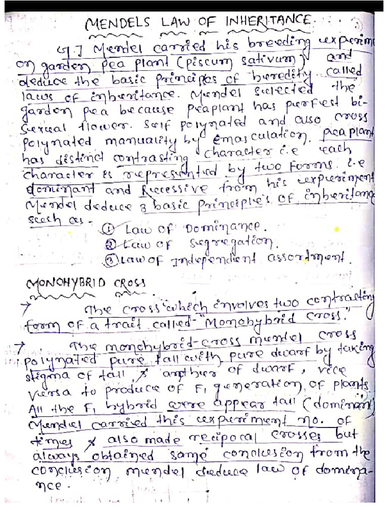 Mendel Law of Inheritance | PDF