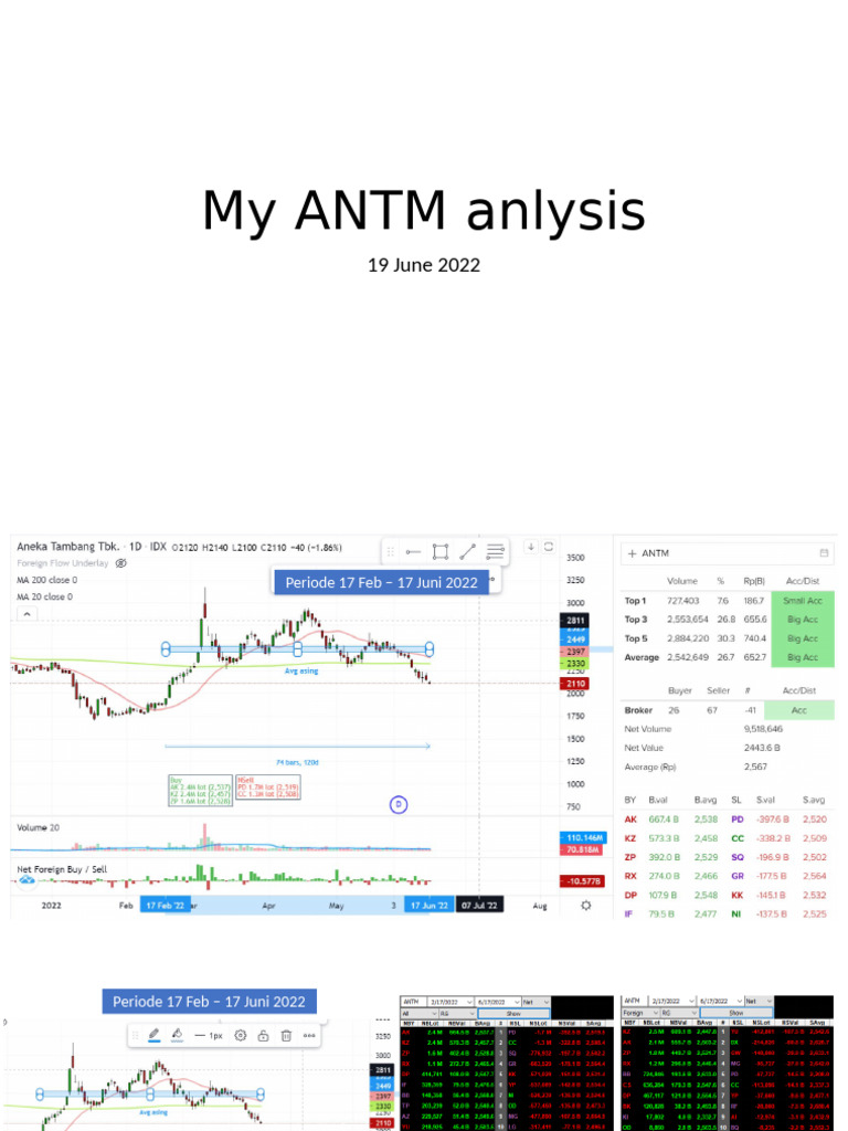 My ANTM Anlysis | PDF