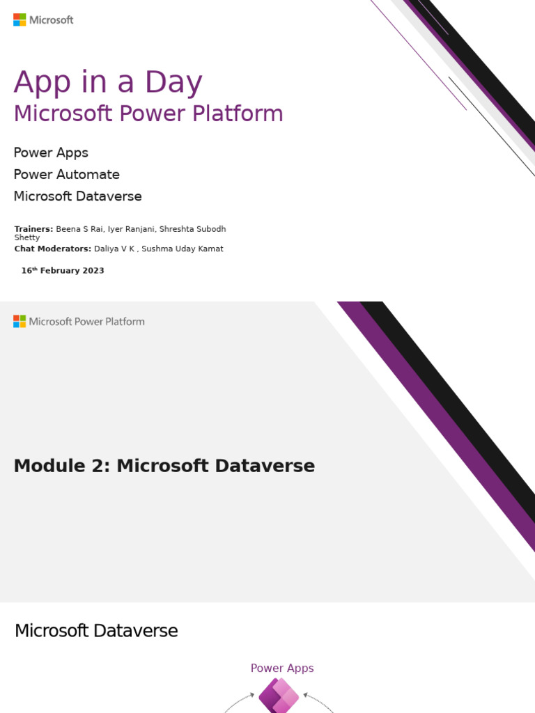 Microsoft Dataverse Overview and Training | PDF | Application Software ...