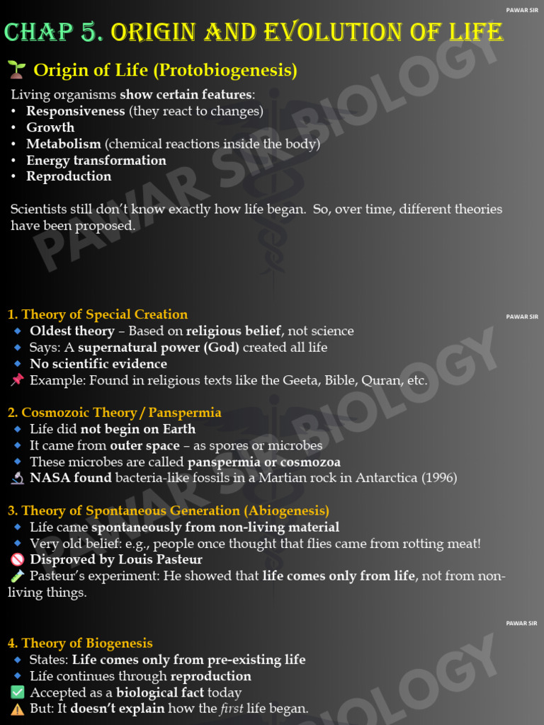 Theories on the Origin of Life | PDF | Life | Nucleotides