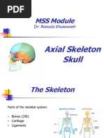 Skull Xray Views Chart | PDF