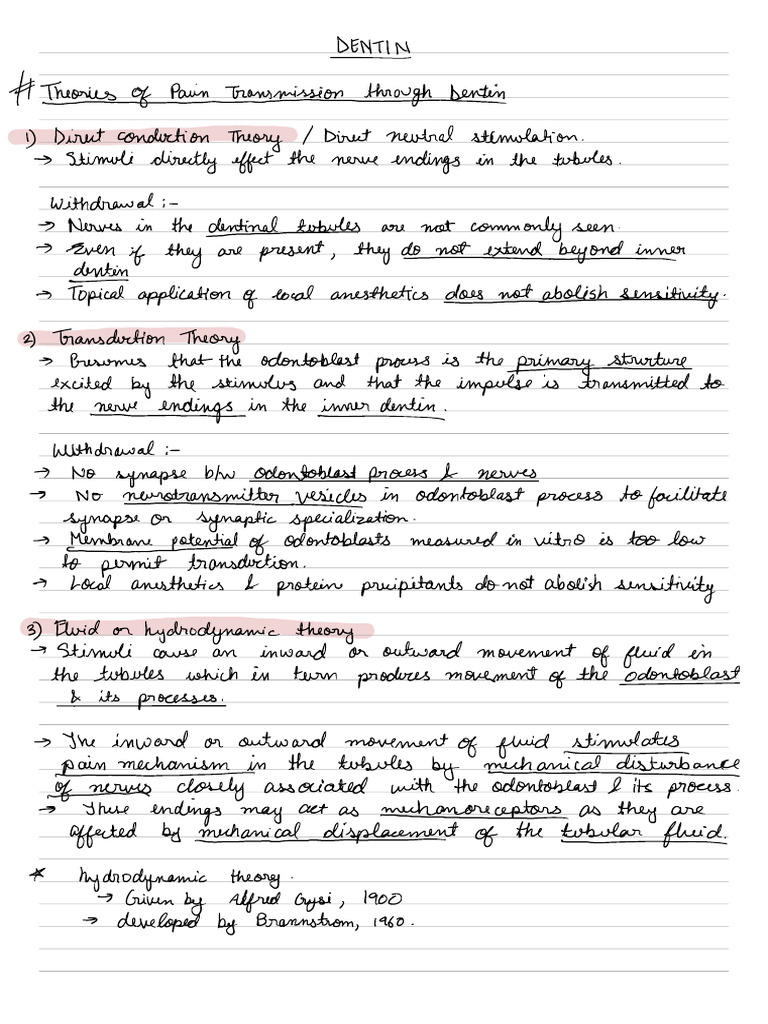 Dentin | PDF