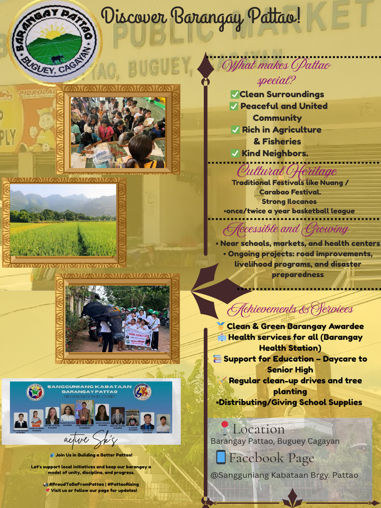 Discover Barangay Pattao's Community Benefits | PDF