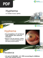 Hyphema and Hypopyon | PDF | Clinical Medicine | Medical Specialties