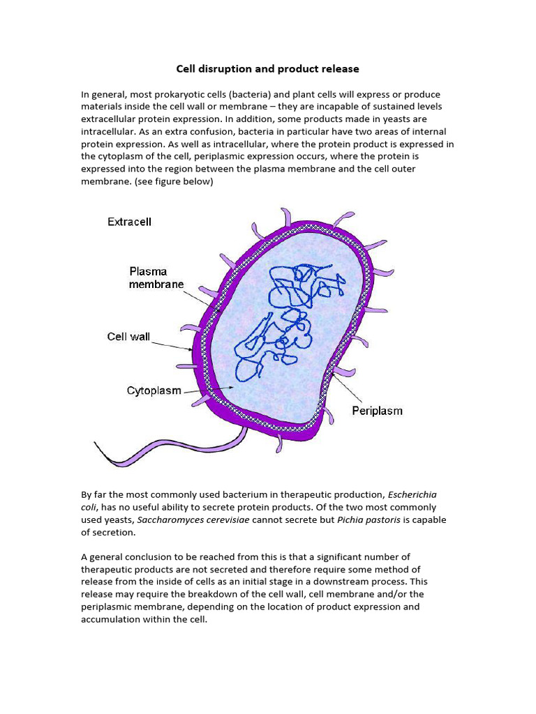 Cell Disruption and Product Release 2016 | PDF | Cell Membrane | Secretion
