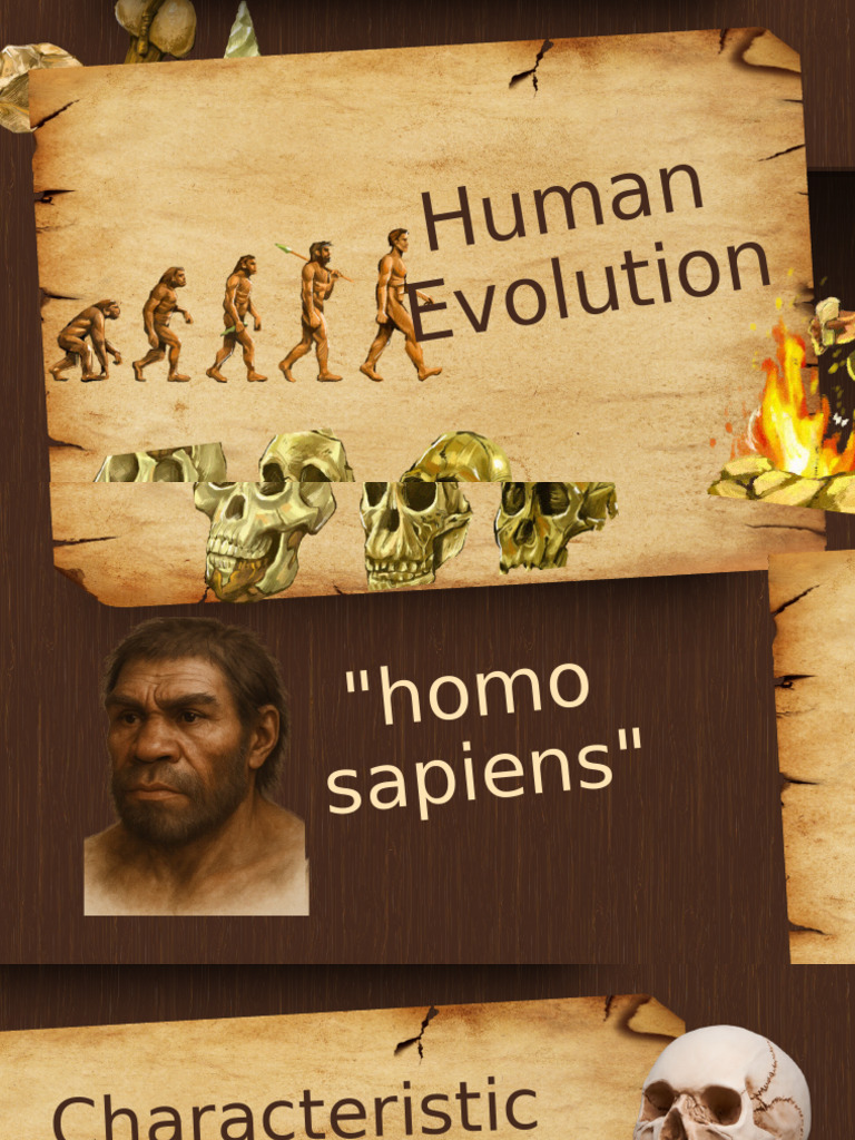 Human Evolution Educational Presentation in Brown and Yellow Painterly ...