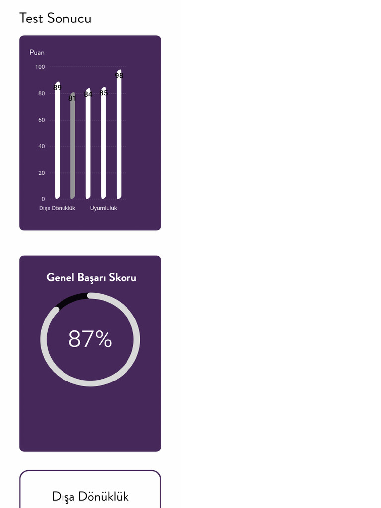 Sirket Performansi | PDF
