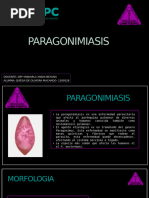 Paragonimus Westermani: Ciclo y Patología | PDF | Enfermedades y ...