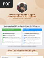 DOT Service Animal Relief Attestation Form | PDF | Making False ...