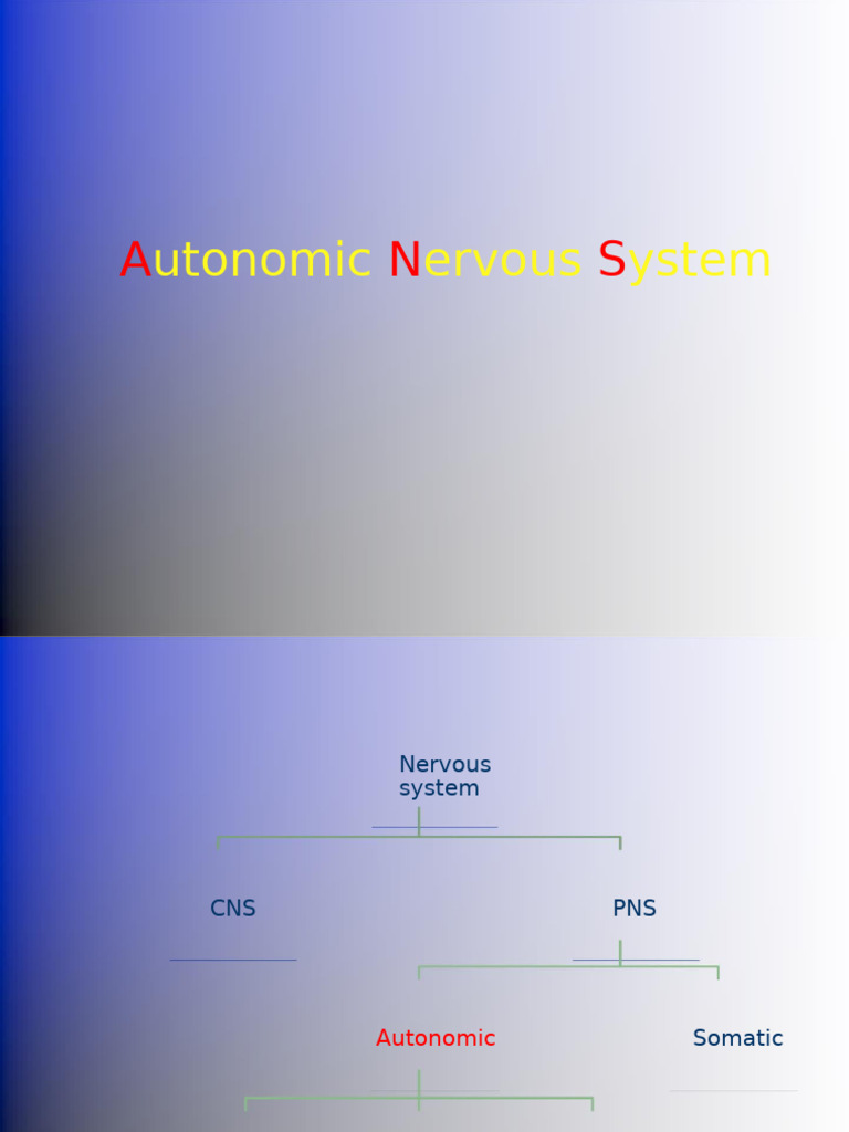 Neurohumoral Transmission Overview | PDF | Inhibitory Postsynaptic ...